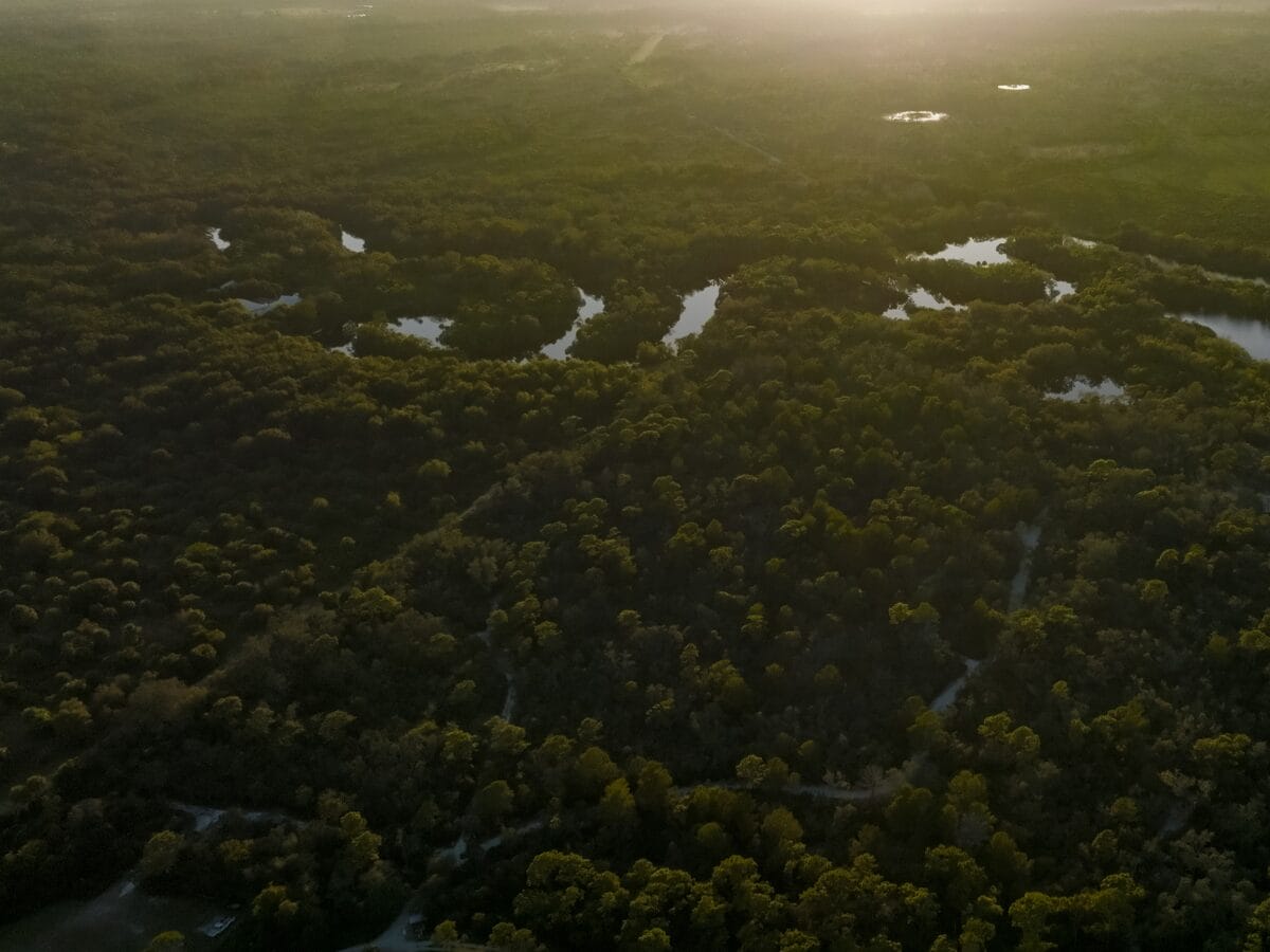 Building Regenerative Communities: Dynamic Interdependence for Thriving ...