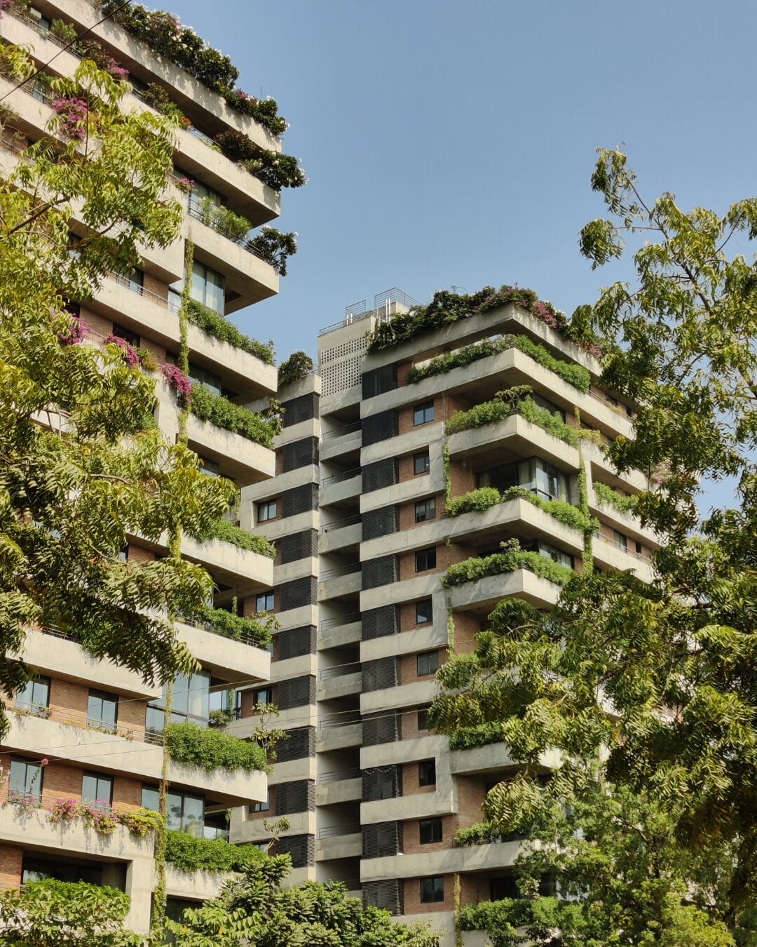 Biodiversity & the Built Environment: From Bees to Bio-Based Building ...